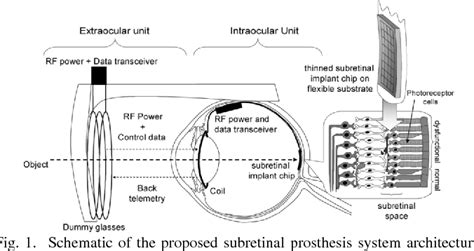 Figure 1 From Pulse Frequency Modulation Based Cmos Image Sensor For Subretinal Stimulation