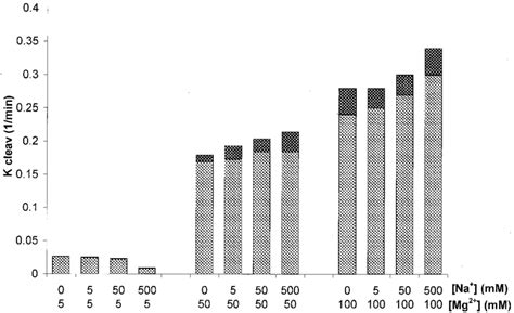 Cleavage Rates After Ribozymesubstrate Duplex Formation In The