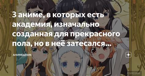 3 аниме в которых есть академия изначально созданная для прекрасного пола но в неё затесался