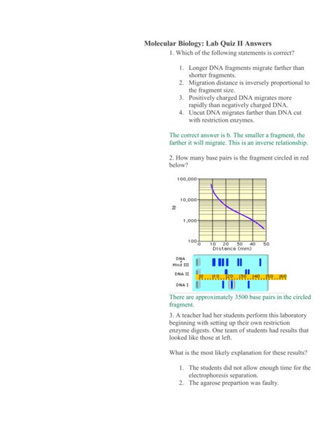 Molecular Biology Lab Quiz II Answers Key
