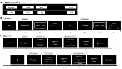 procedures of the experiment a the procedure consists of an encoding