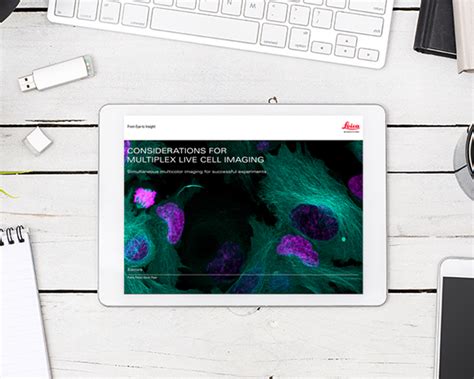 Considerations For Multiplex Live Cell Imaging