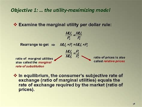 Module The Utility Maximizing Model Objectives