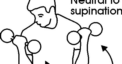 Cardio Trek Toronto Personal Trainer How To Do A Proper Bicep Curl And Get Better Results