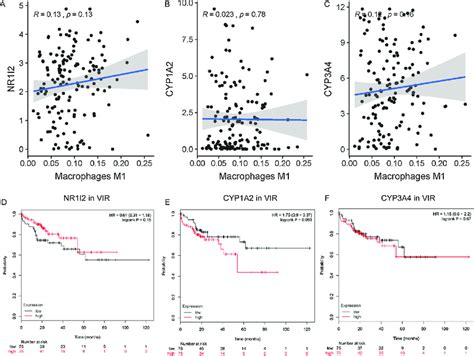A Correlation Between Nr1i2 And Macrophages M1 In Vir B Correlation