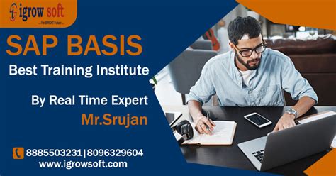 SAP BASIS Online Training Institute In Bangalore Igrowsoft