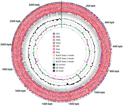 Sequencing And Analysis Of The Genome Of Propionibacterium