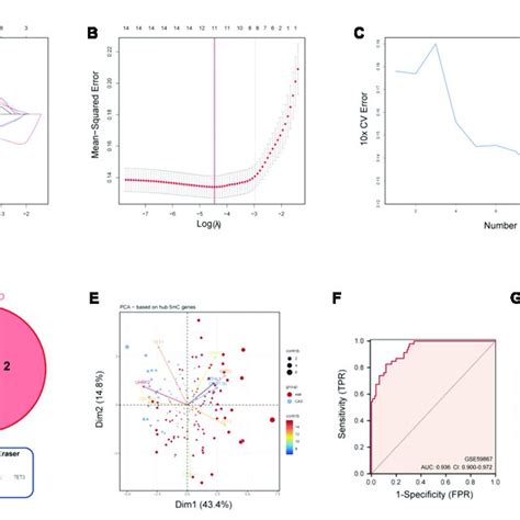 Identification Of Hub 5mc Regulators A The Least Absolute Shrinkage