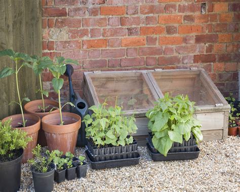 How To Prepare For Seed Sowing 7 Game Changing Tips To Try Homes And Gardens