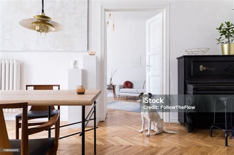 디자인 나무 테이블 의 자 소파와 골드 펜 던 트 램프와 홈 공간의 세련 된 Scandi 인테리어 디자인 액세서리와 피아노가