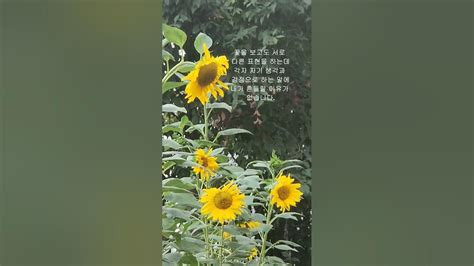 마음의 색깔 Youtube