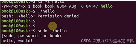 linux第四课改变文件的权限和属性 内含 修改权限命令chmod 临时切换用户用 sudo chowm 改变文件所有者 rwxrwxr x CSDN博客