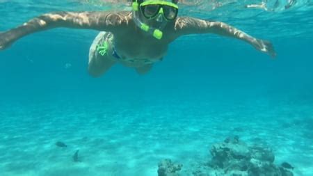 Rate My Naked Diving Experience Pics XHamster