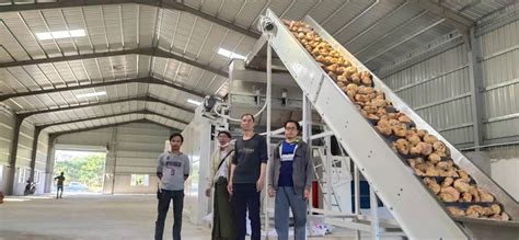 Cocoa Beans Drying Machine Buy Cocoa Beans Drying Machine Cocoa
