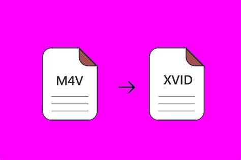 Xvid To Avi How To Implement The Mutual Transformation