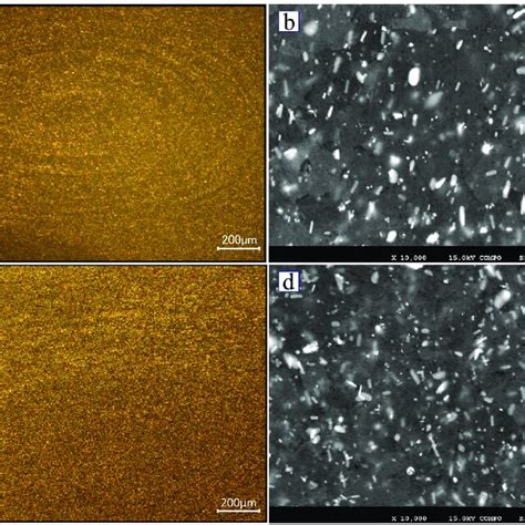 The Optical And Sem Micrographs Related To The Microstructure Of The