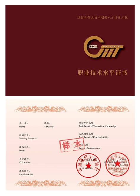 2024年度第五届全国大学生算法设计与编程挑战赛（春季赛） Csdn博客