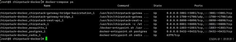 Chirpstack 部署教程及一些遇到的坑（lorawan 服务器） Csdn博客