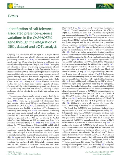 Identification Of Salt Tolerance‐associated Presence Absence Variations In The Osmads56 Gene