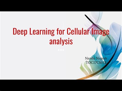 Deep Learning For Cellular Image Analysis What You Need To Know Reason Town
