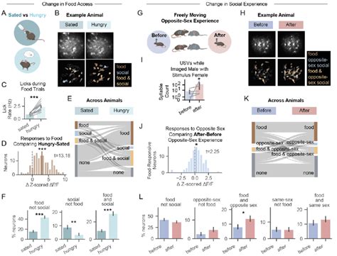 Hunger And Opposite Sex Experience Increase Fraction Of Vta Da Neurons