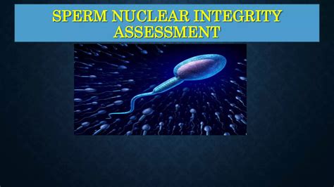 Sperm Nuclear Integrity Assessment Autosaved Ppt