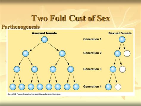 PPT Biology Of Sex PowerPoint Presentation Free Download ID
