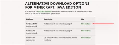Unable To Update The Minecraft Native Launcher Herere