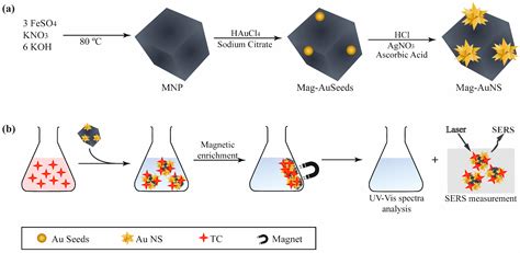 Magnetite Supported Gold Nanostars For The Uptake And Sers Detection Of Tetracycline