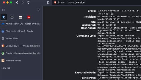 Vertical Tabs Restore After Crash Doesnt Show Pinned Tabs · Issue 28682 · Bravebrave Browser