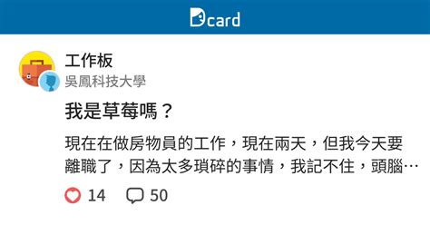 我是草莓嗎？ 工作板 Dcard