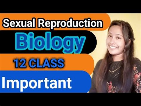 Class 12 Sexual Reproduction YouTube