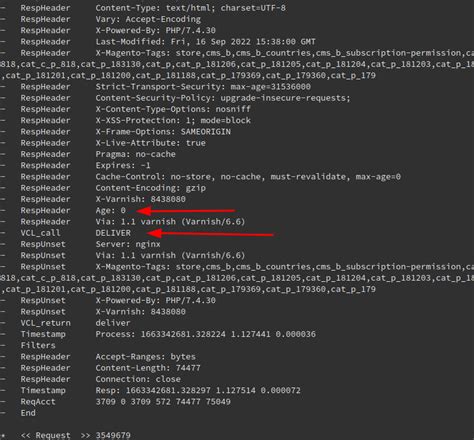 Magento Debug Varnish Cache In Production Mode