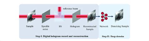 The Schematic Diagram For The Label Free Coherent Noise Suppression In Download Scientific