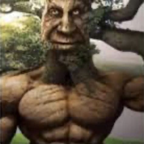 Tree YouTube