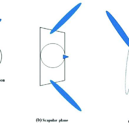 Unsupported Arm Elevations In Flexion A Scaption B And Abduction Download Scientific