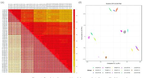 Correlation Heat Map A And Cluster Analysis Diagram B Of The Samples Download Scientific