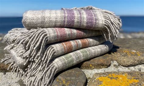 Cotton Vs Wool In Detail Comparison