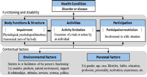 Who International Classification Of Functioning Disability And Health Download Scientific