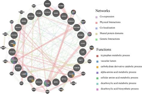 Assessment Of Circulating Proteins In Thyroid Cancer Proteome Wide Mendelian Randomization And