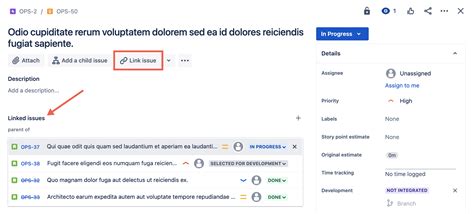 Creating Custom Issue Hierarchies