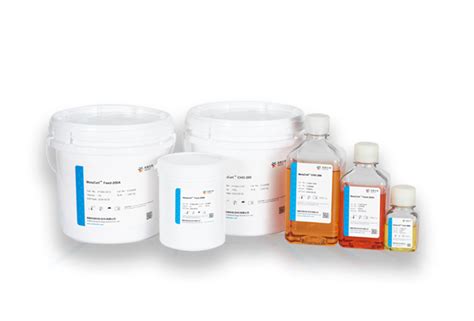 产品与服务 思鹏生物 值得信赖的细胞培养与应用专家