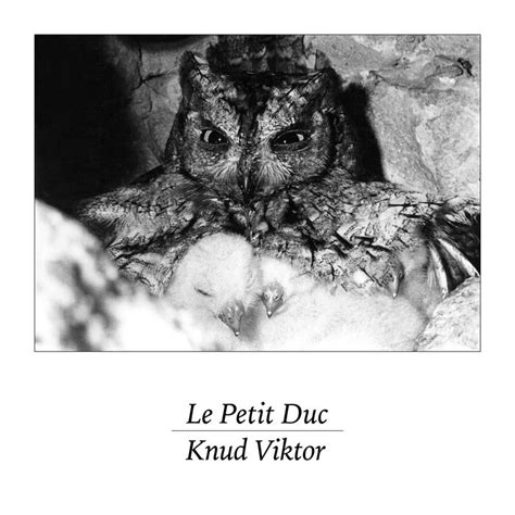 Le Petit Duc Knud Viktor