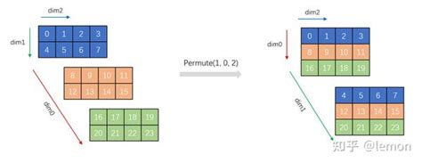 Pytorch中的view Reshape Permute 知乎