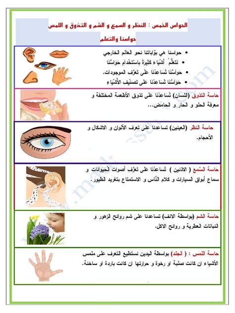 الحواس الخمسة سنة اولى 1 Pdf