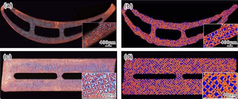 Experimental And Simulation Results Regarding The Dendrite Morphologies