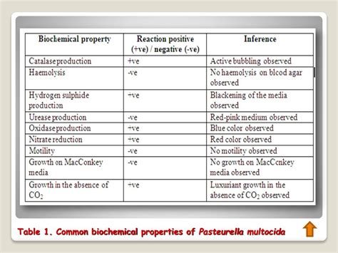 Ppt Molecular Characterization Of Pasteurella Multocida Isolates Of