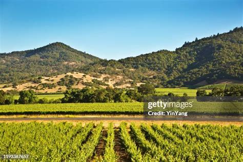 Napa Valley Wine Country Photos And Premium High Res Pictures Getty