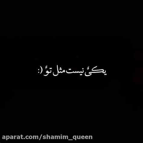 کلیپ شاخ اینستا