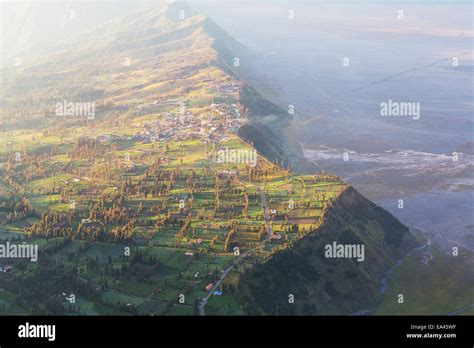 Field In Java Stock Photo Alamy
